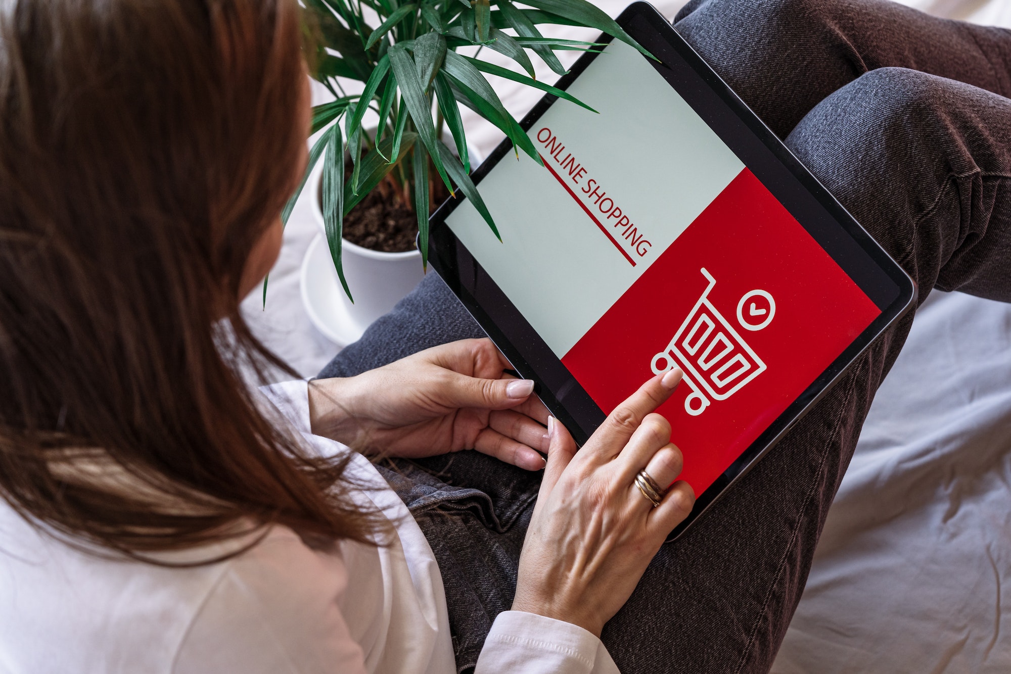 The Home User’s Guide to Secure Online Shopping - NanoTech Security